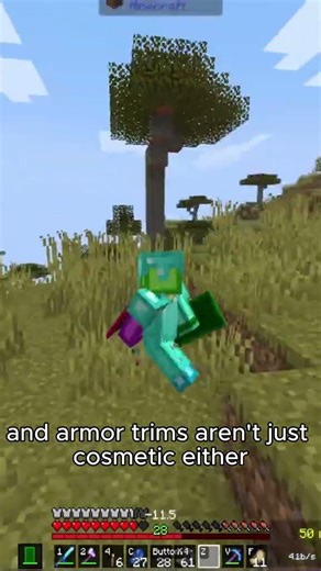 EnchantMent SMP