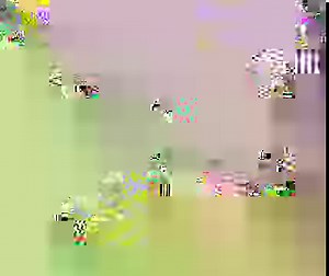 1.1K views · 16 reactions | Poolside essentials: swimsuit, sunscreen, good times.林 Escape the FOMO and dive into relaxation at our resort pools. | Marriott Myrtle Beach Resort & Spa at Grande Dunes | Facebook