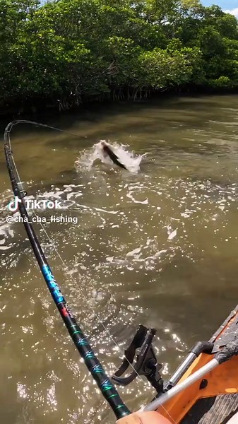 Air Dancing Fish: Kayak Fishing Adventure in Florida