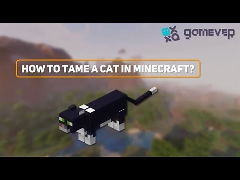 How to Tame a Cat in Minecraft 🐱 - Tutorial/Step-by-step Guide