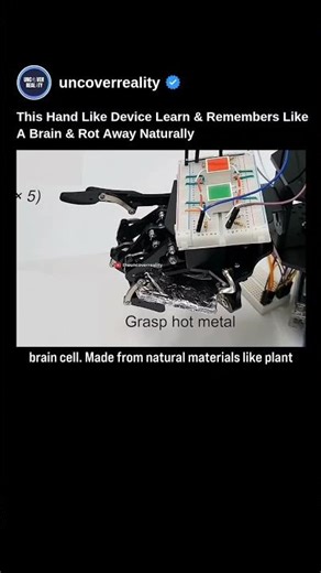 This Hand Like Tech Device Learn & Remembers Like A Brain & Rot Away Naturally #robot #shorts #tech