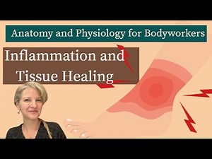 A & P Supplemental: Inflammation and Healing | MBLEx Prep