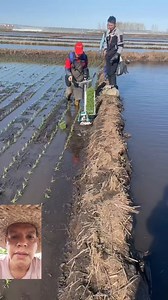 Transplanter #farming #farmlife #farmers #farmerlife #farm #farmtotable | Roman Nazar