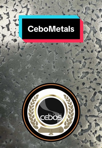 Interior Design Tutorial Featuring Michele Cudemo