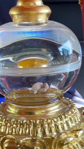 **Fortune or karma—this is a question I place humbly at the feet of the Triple Gem. By the accumulation of merit and the compassion of the enlightened ones, I was blessed with the rare and sacred honour of escorting the holy Buddha Relic. My heart trembled with devotion, and my mind fell silent, for words are powerless before such a blessing. To stand so close to the sacred relics, to receive the direct blessings of the Buddha, is a fortune beyond this life alone. I accept this moment with deep 