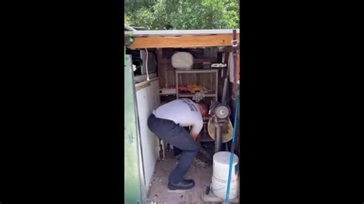 Burmese Python Removed From Miami Shed