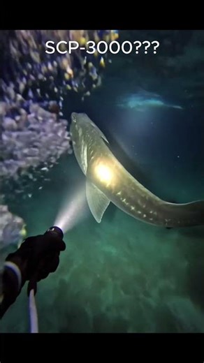 SCP-3000??