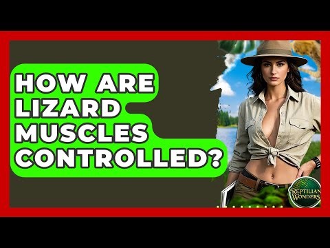 How Are Lizard Muscles Controlled? - Reptilian Wonders