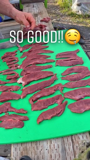 Delicious Bear Meat Recipes and Cooking Tips