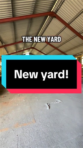 New Year, New Yard: Transform Your Space Today
