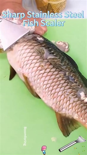 ✨ “Without this, you’ll never know how easy scaling fish can be!” SALE 60% : https://www.metrosupermarket.net/shavingfish Tired of wasting time scraping fish with old knives or spoons? 😩 Our 304 Stainless Steel Fish Scaler is designed to help you remove scales in just a few seconds! 💪 Features & Benefits: ✅ Sharp serrated teeth – removes fish scales cleanly and evenly ✅ Anti-slip handle – gives full control, no slipping even when wet ✅ 304 stainless steel – durable, rust-proof, and built to la
