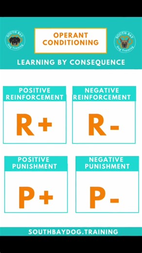 The science behind how dogs learn and the never ending confusion about #operantconditioning