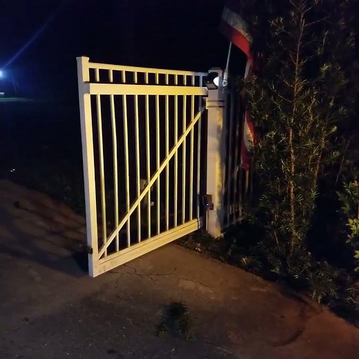 Late-Night LiftMaster Gate Repair | Loop Detector Reset After Lightning Storm ⚡