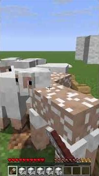 HOW MUCH WOOL I GET WITH ONE SHEARS! #minecraft #minecraftshorts #gaming