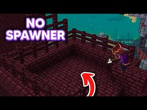 The WEIRDEST Glitch I've seen in a Minecraft Speedrun