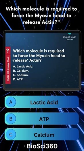 Which molecule is required to force the Myosin head to release Actin?