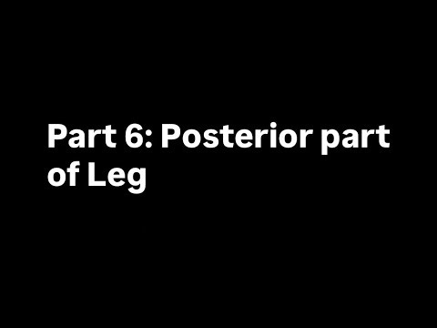VIDEO-6 ANATOMY OF LOWER LEG POSTERIOR PART OF LEG