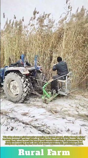 Farming on Frozen Ground: Power of a Mini-Harvester Efficiently Cutting Crops in Winter Conditions