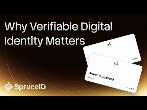 Why Verifiable Digital Identity Matters