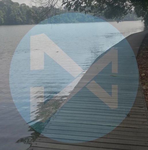 Data Pool vs Data Lake