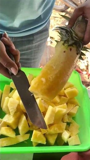 Mz 19568537446 mini rotary tillage and ridging all-in one tree short view #travel#beach #flowers