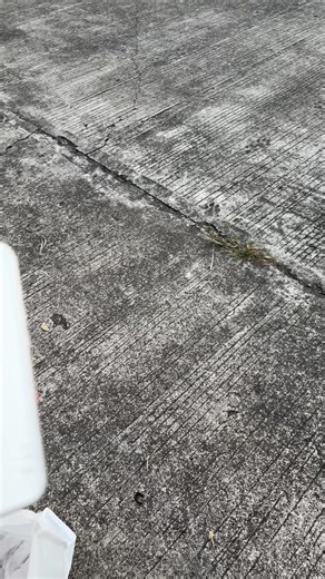 The Ultimate Guide to Clear iPhone Cases