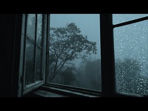 Rain on Window with Thunder Sounds 10 Hours | Forest Ambience for Sleep & Relaxation