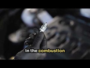 Overview of Petrol and Diesel Fuel Systems