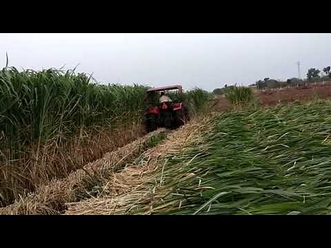 Neppiar Grass Cutting , Tractor mounted reaper