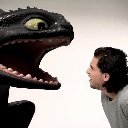 Toothless Dragon Teeth: Unveiling the Mystery