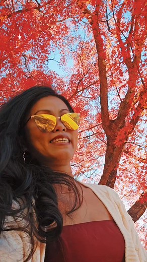 155 reactions · 20 shares | Japanese maple  tree | Ivy Awiten | Facebook