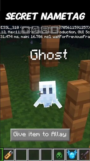 SECRET Minecraft Name Tag You MUST Try! 💥 #Shorts