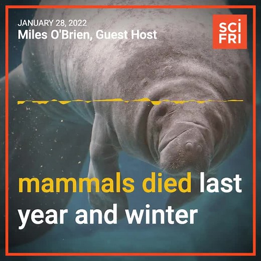 4.4K views · 146 reactions | On today's episode of Science Friday ,...