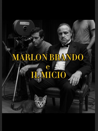 E' molto dirvertente da raccontare. Viva i gattini ✨ #ilpdrino #marlonbrando #film #gatti #animali #cats #funny #meme