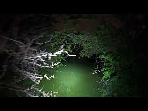 Fenix HM65R-T Headlamp Review and Field Test