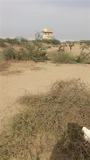 Today 25-12-2025 Secretary Pakistani Pakistan Post Office Employees Co-operative Housing Society, Karachi and Member Managing committee Syed Asim Hussain visited Society sector Northern vBy pass to see the Development Work | Pakistan Post Office Employees Co-operative Housing Society, Karachi