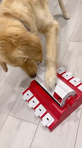 62K views · 986 reactions | This puzzle is a must have for smart...