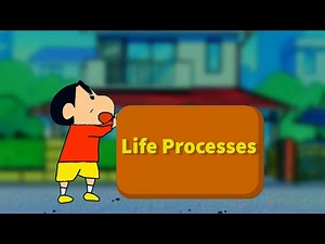 LIFE PROCESSES CLASS 10 | CHAPTER 6 OF CLASS 10 BIOLOGY | ANIMATION | INOS STUDY