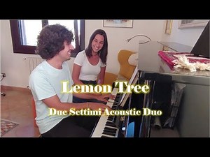 Lemon Tree (Fool's Garden) - Acoustic Duo Cover