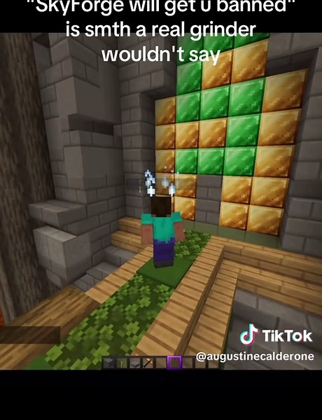 SkyForge never had problems, why not use it for Hypixel Skyblock ? #hypixel #skyblock #real #fyp #bro