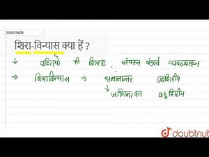शिरा-विन्यास क्या हैं ? | 11 | खनिज पोषण | BIOLOGY | NAVBODH | Doubtnut