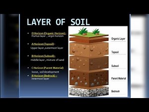 Soil || Unlocking the Secrets of Soil: Functions and Layers Explained