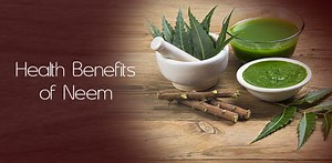 Health Benefits of Neem