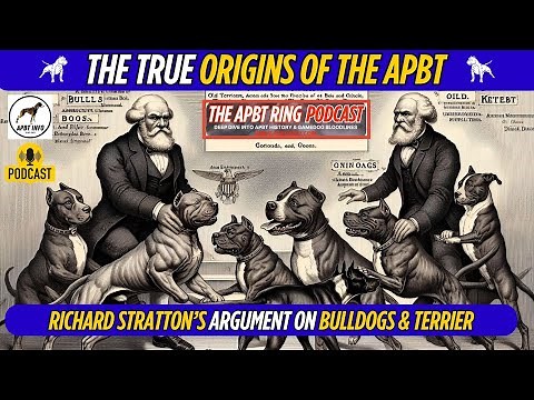 True Origins of the American Pit Bull Terrier History | BULLDOGS & TERRIERS | Richard F. Stratton