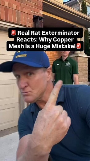 10K views · 376 reactions | Real Rat Exterminator Reacts: Why Copper Mesh Is a Huge Mistake! | Rodent Stoppers | Facebook
