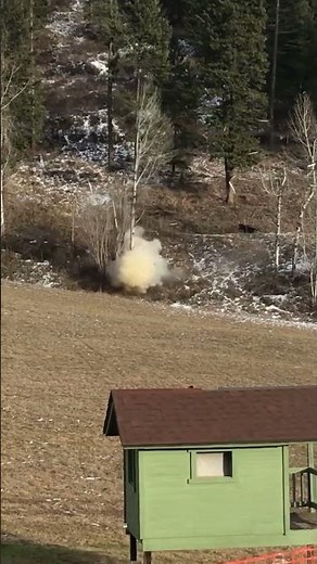 Taking down an old dead tree with tannerite! #explosion