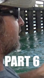 3.2K views · 31 reactions | Amazing TARPON Fishing Haulover Inlet Miami Part 6  #hauloverbeach #tarponfishing #inshorefishing #deepseafishing | The Mullet Run | Facebook