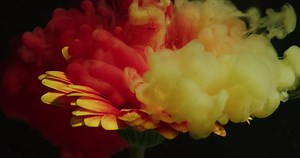 Top DaVinci Resolve effects packs for easy vfx