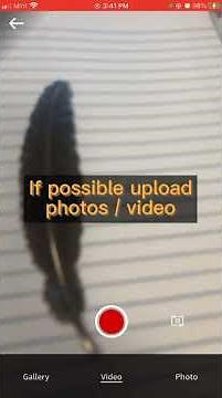 How to Submit a Product Review on Amazon Mobile App?