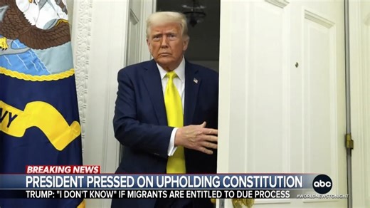 290K views · 4.1K reactions | In an interview, President Trump argued that his campaign promise to deport undocumented migrants might supersede giving those targeted their constitutional rights to due process under the law. Selina Wang has the details. | ABC World News Tonight with David Muir | Facebook